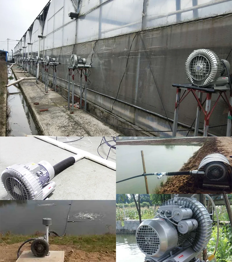 High Efficiency Aquaculture Industrial Three-leaf Root Blower for Fish ...