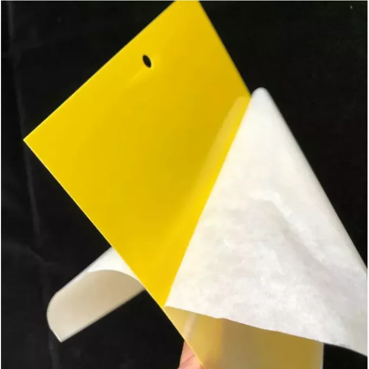 Strong Adhesive Glue Paperboard Insect Catcher Fly Catcher Double-side ...