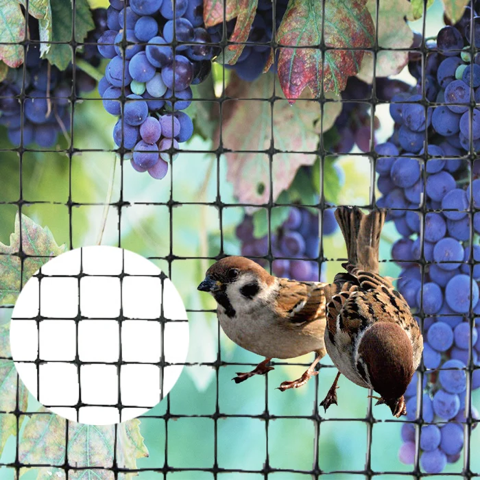 4 Meters Bi-orientation Stretched Mesh Plastic Extruder,Plastic Net ...