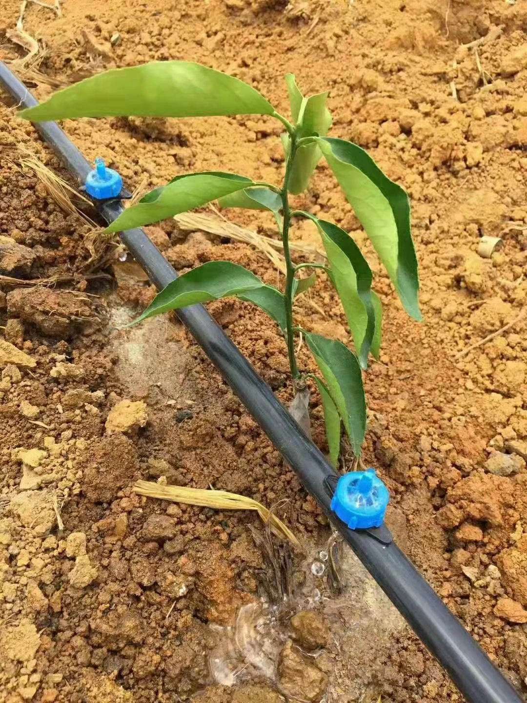 3 Way Agriculture Greenhouses Irrigation Fertilizer Machine