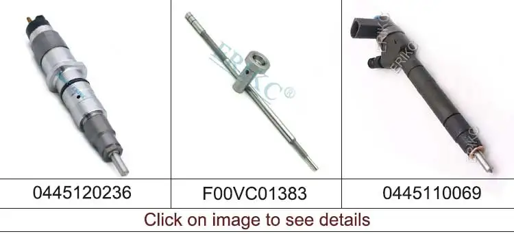 ERIKC 0 433 172 538 Fuel Oil Nozzle 0433 172 538 DLLA148P2538 ...