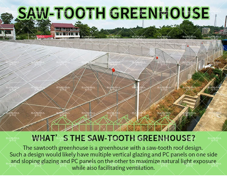Sawtooth Greenhouse - Efficient Plant House Arch Pipes