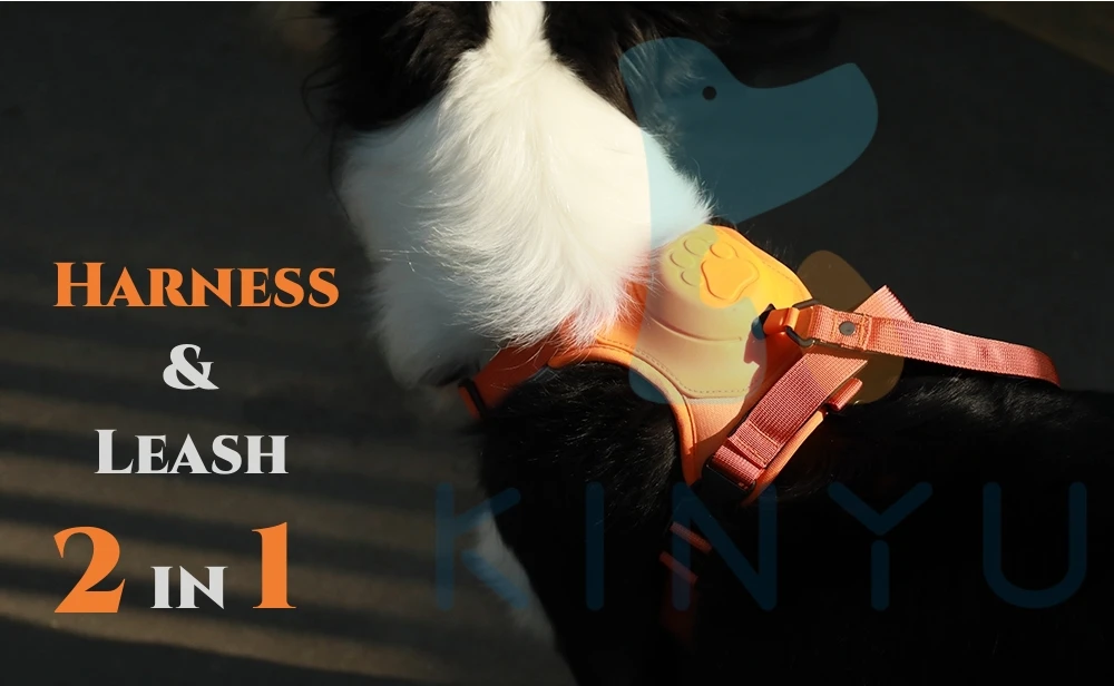 Kinyu 2023 No Pull Dog Harness with Retractable Leash Set