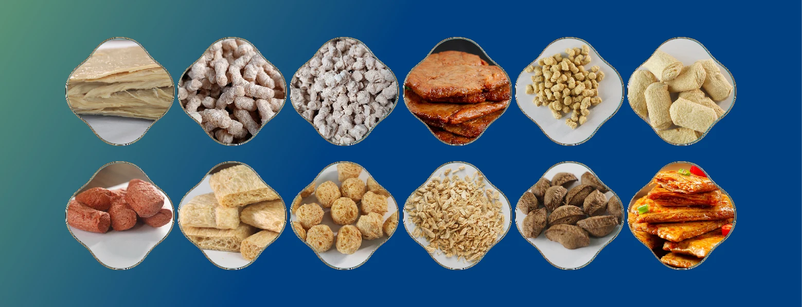 Texturizing TVP Soybean Extruder Automatic Textured Soy Protein Food ...