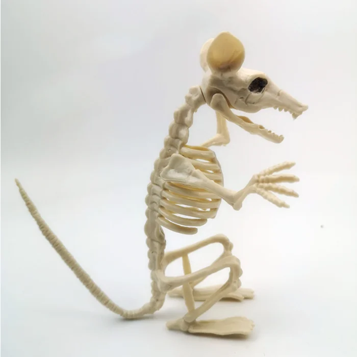Party Tricky Props Rat Skeleton Realistic Halloween Mouse Skeleton ...