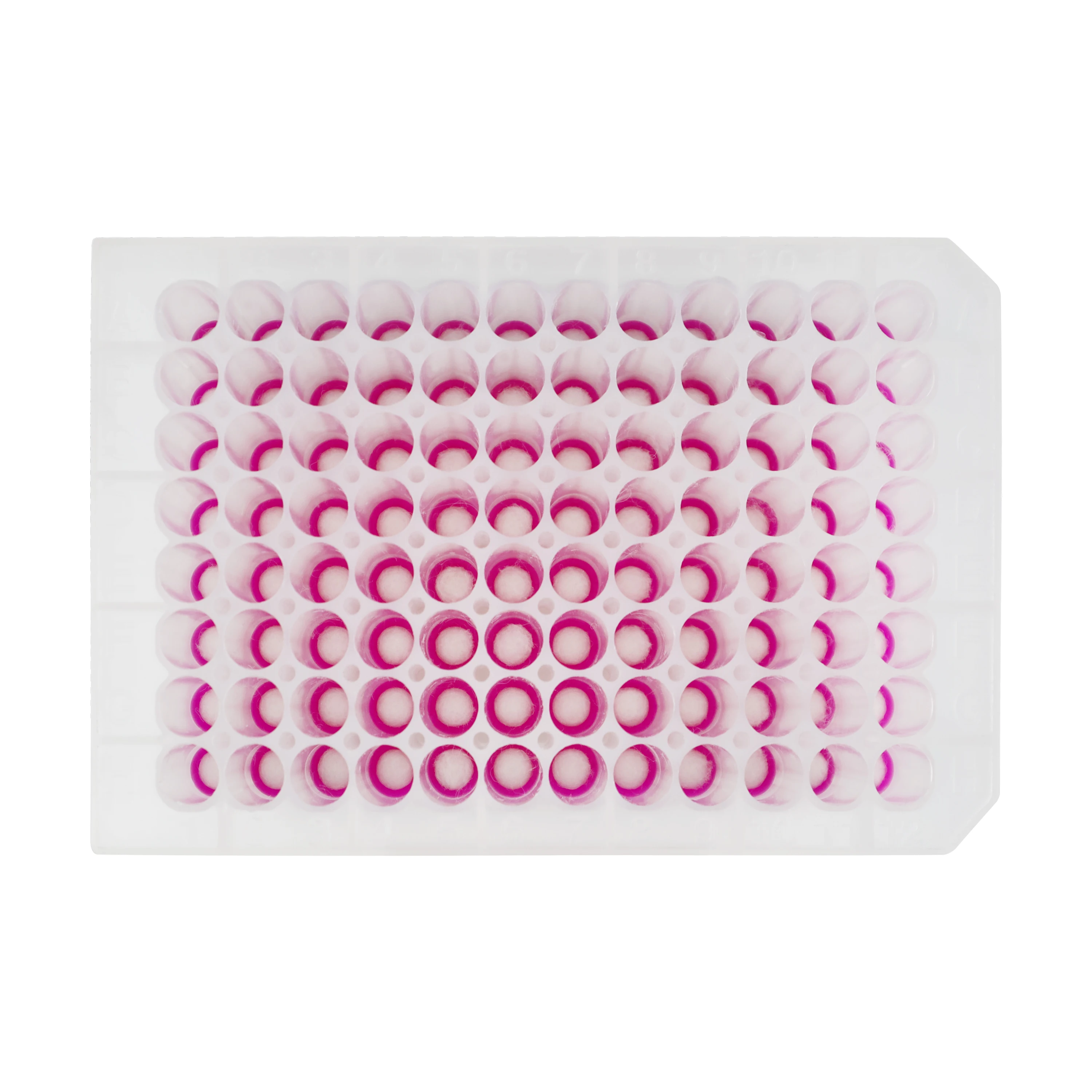 Plasmid Dna Extraction 96 Well Filter Plate Coli Plasmid Dna 96-well ...