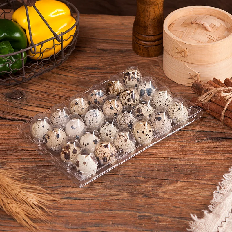 Quail Eggs Packaging Boxes Tray 10 12 15 18 24 30 Holes Plastic Quail ...