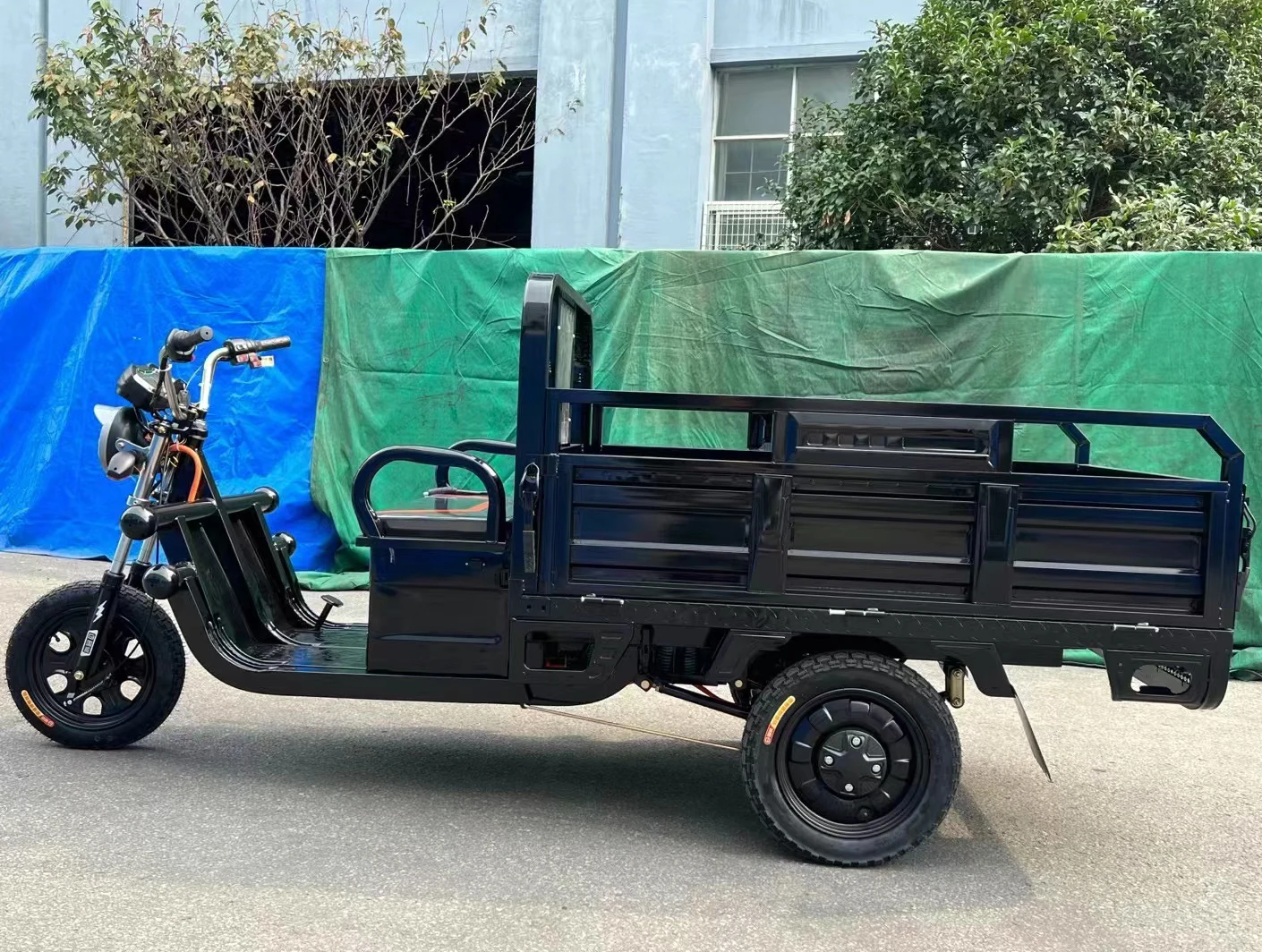 High-performance Three-wheeled Electric Tricycle For Versatile ...