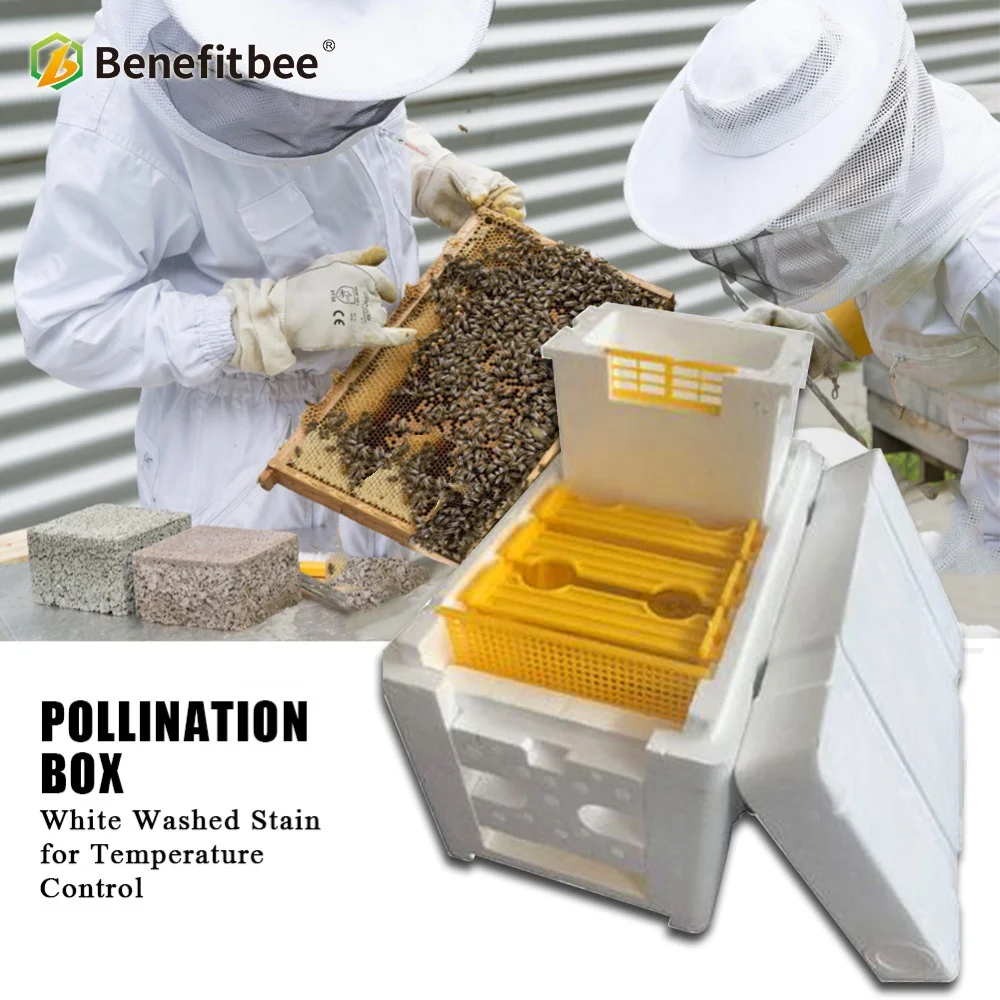 Benefitbee Eps Foam Queen Bee Box Mini Mating Nuc Beehive | Wholesale