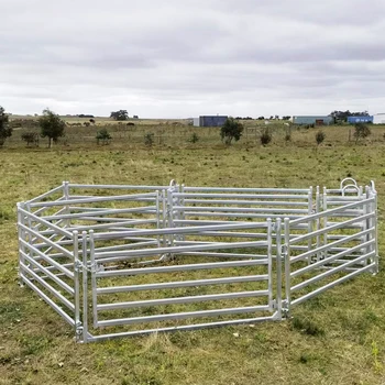 Premium 6 Rail Livestock Cattle Panels Fence Horse Sheep Stockyard ...