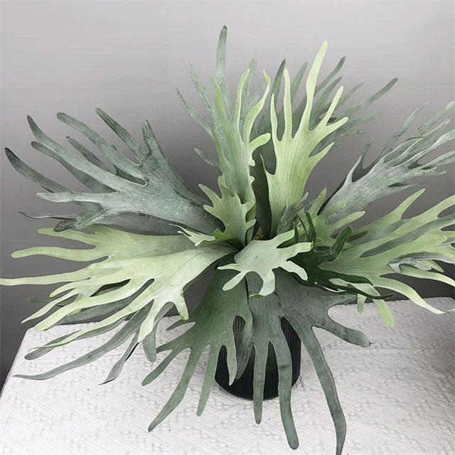Wholesale Real Touch Artificial Succulent Plants Tropical Fern ...