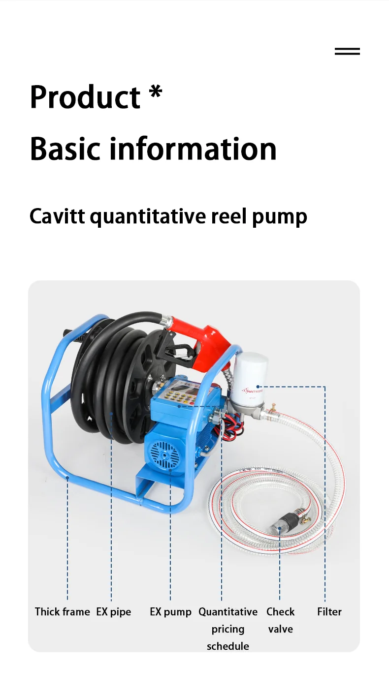 Cavitt 12V/24V/220V Quantitative Explosion-proof Pump Set Portable Fuel Pump Quantitative Flow ...