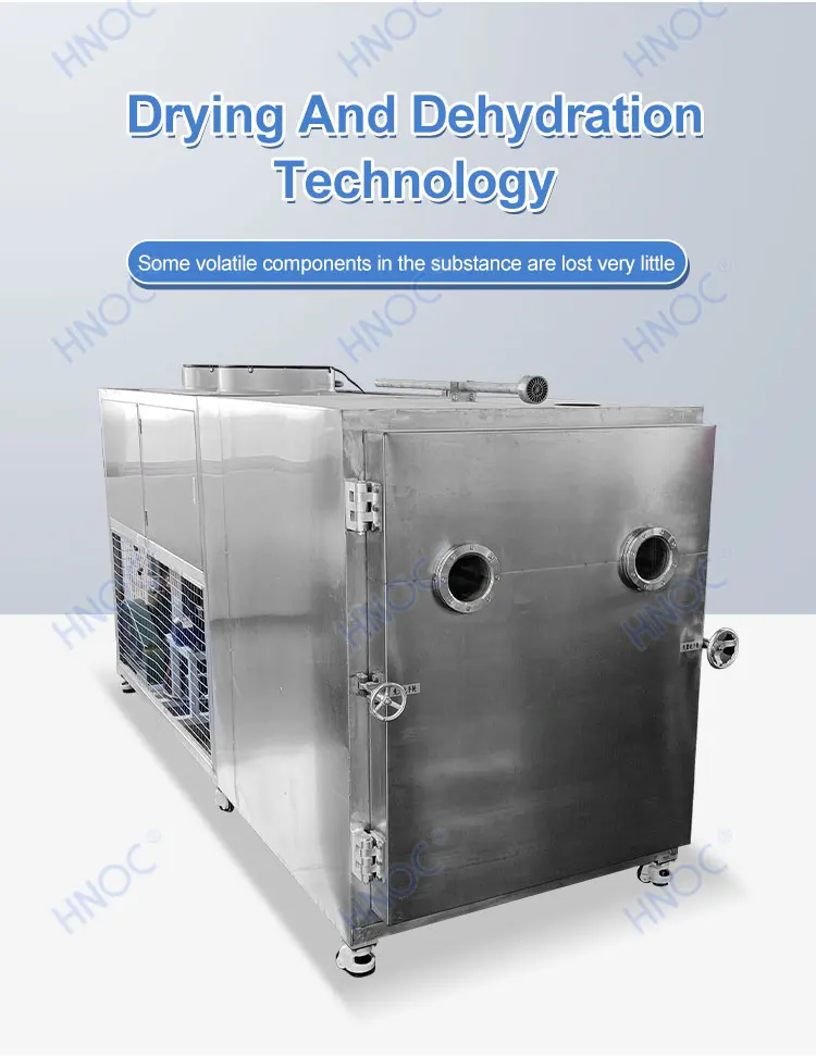 Industrial Lyophilization Machine - Efficient Freeze Drying