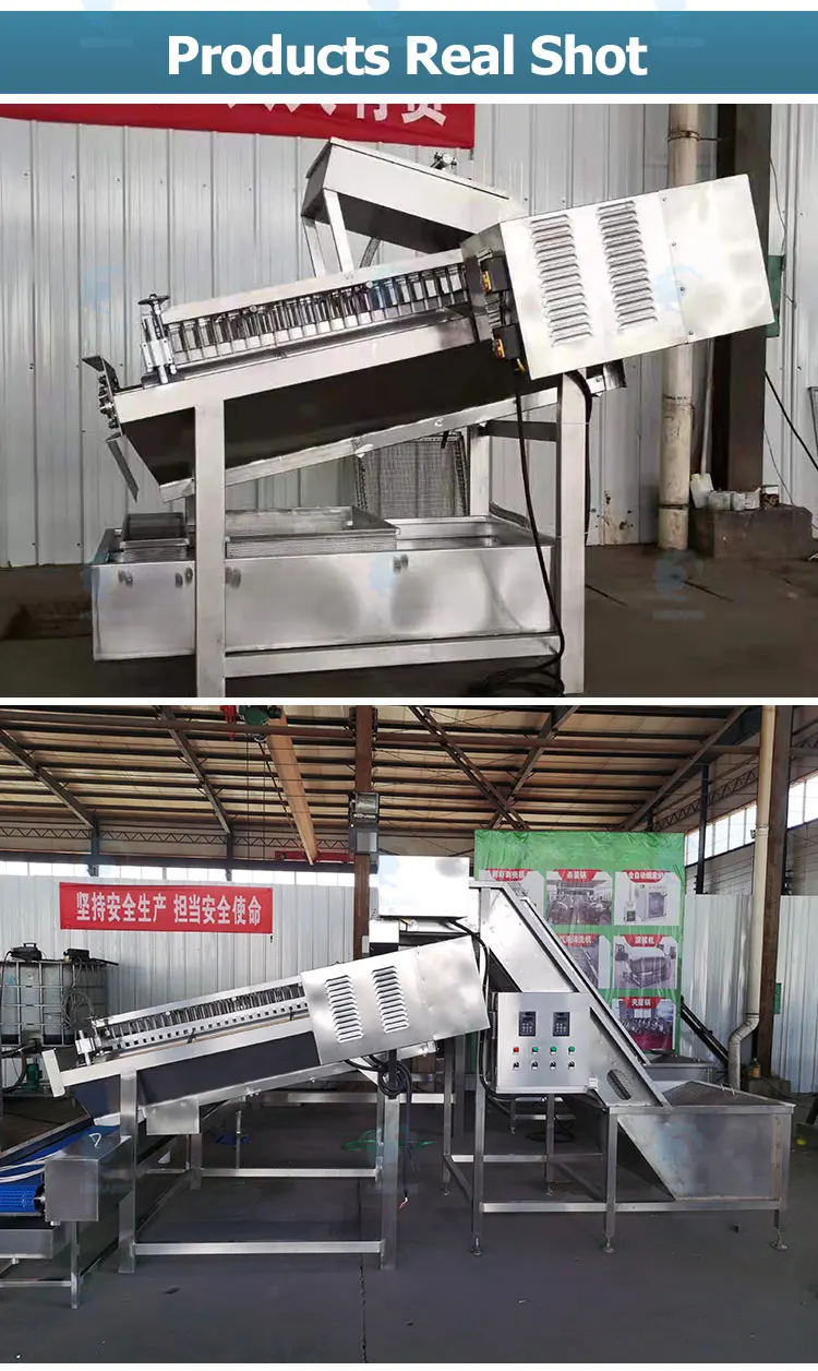 Stainless Steel Shrimp Peeling Machine - Efficient & Durable