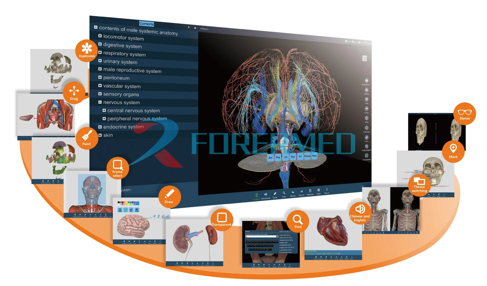 Digital Human Anatomy System - School Autopsy Teaching