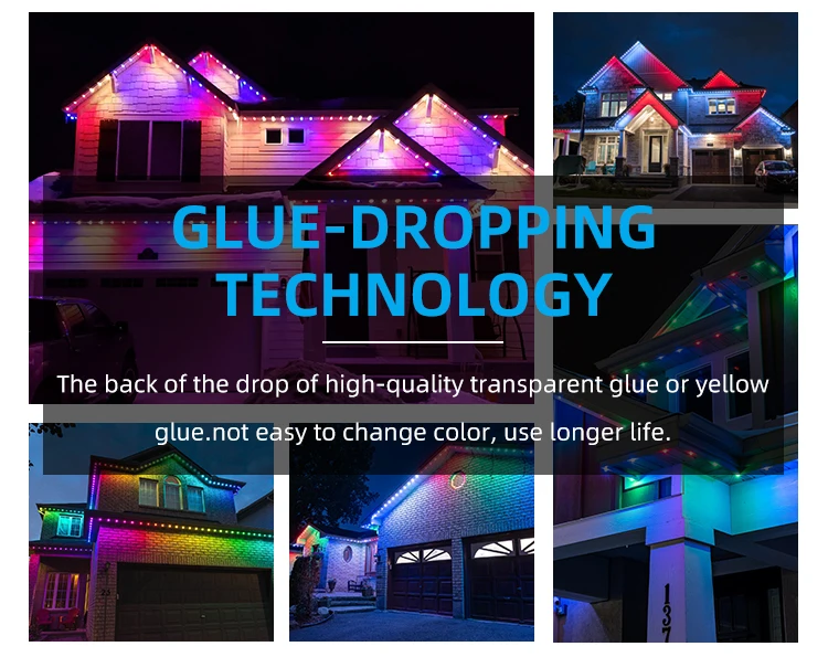Decorative Individually Addressable LED Christmas Lights