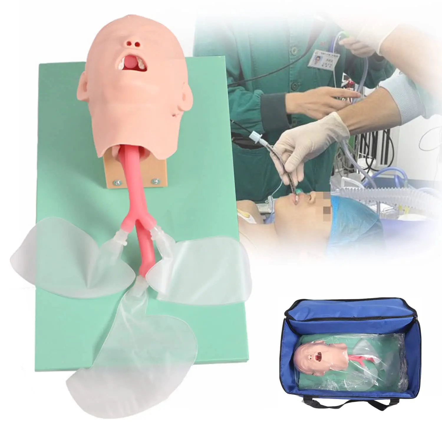 KyrenMed Advanced Child Trachea Intubation Model Oral Nasal Intubation ...