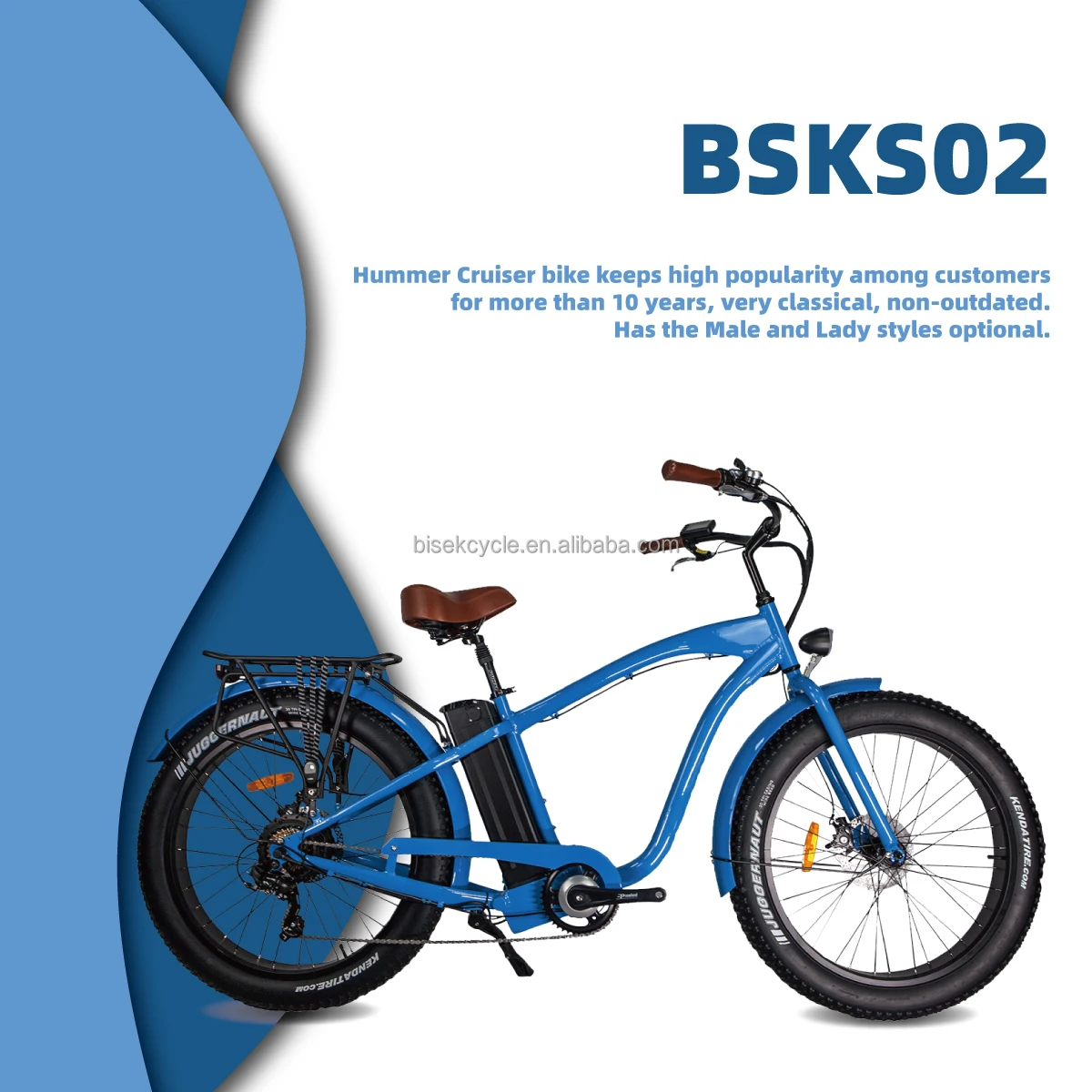 2024 BISEK CYCLE 48v 500w Beach Cruiser Electric Bike