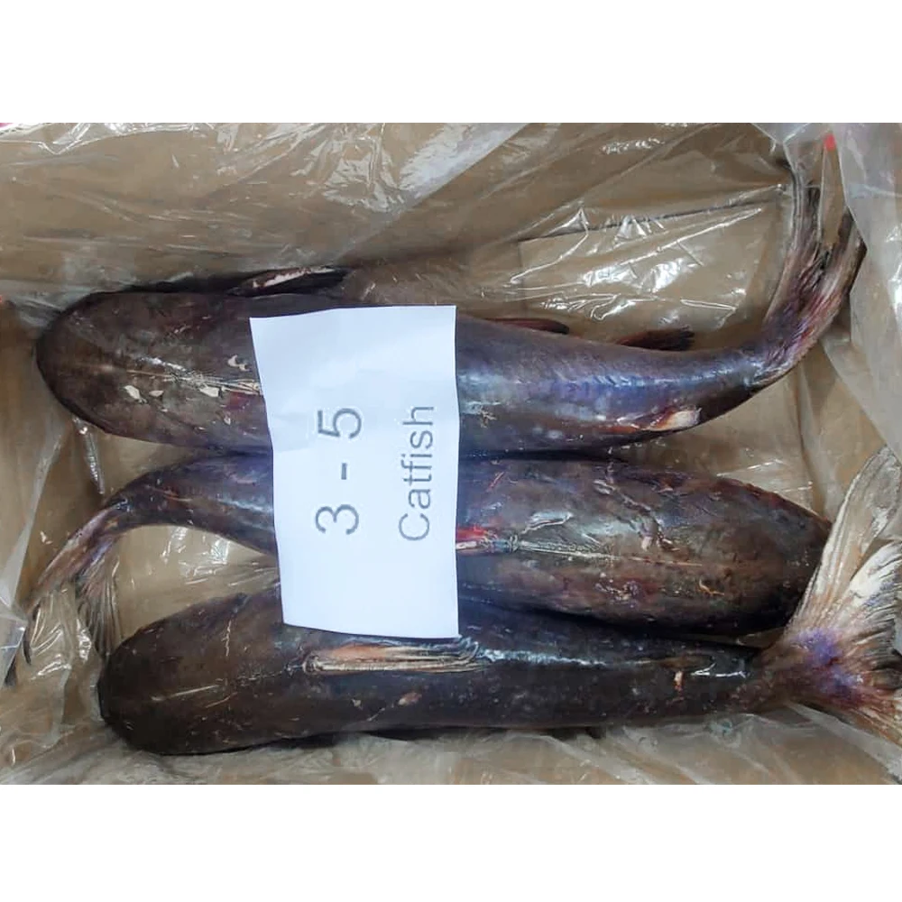 Wholesale Chinese Catfish - Nutritious Frozen Fish