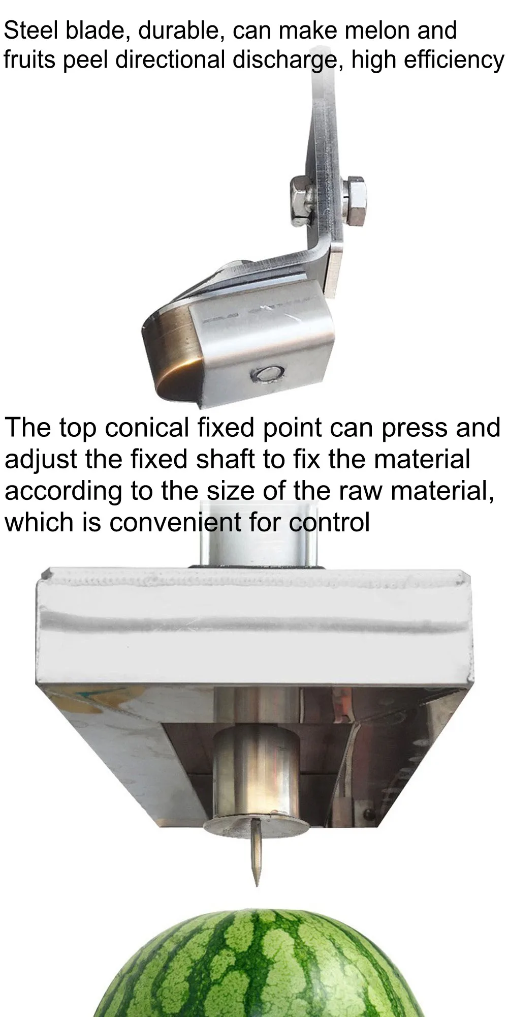 Coconut Testa Remover Peeling Machine - Buy Coconut Testa Peeling ...