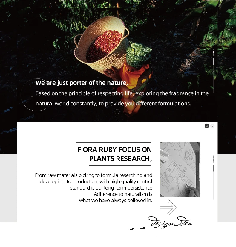 Flora Ruby 6 Bottles Gift Set Air Freshener Diffuser Aromatherapy ...