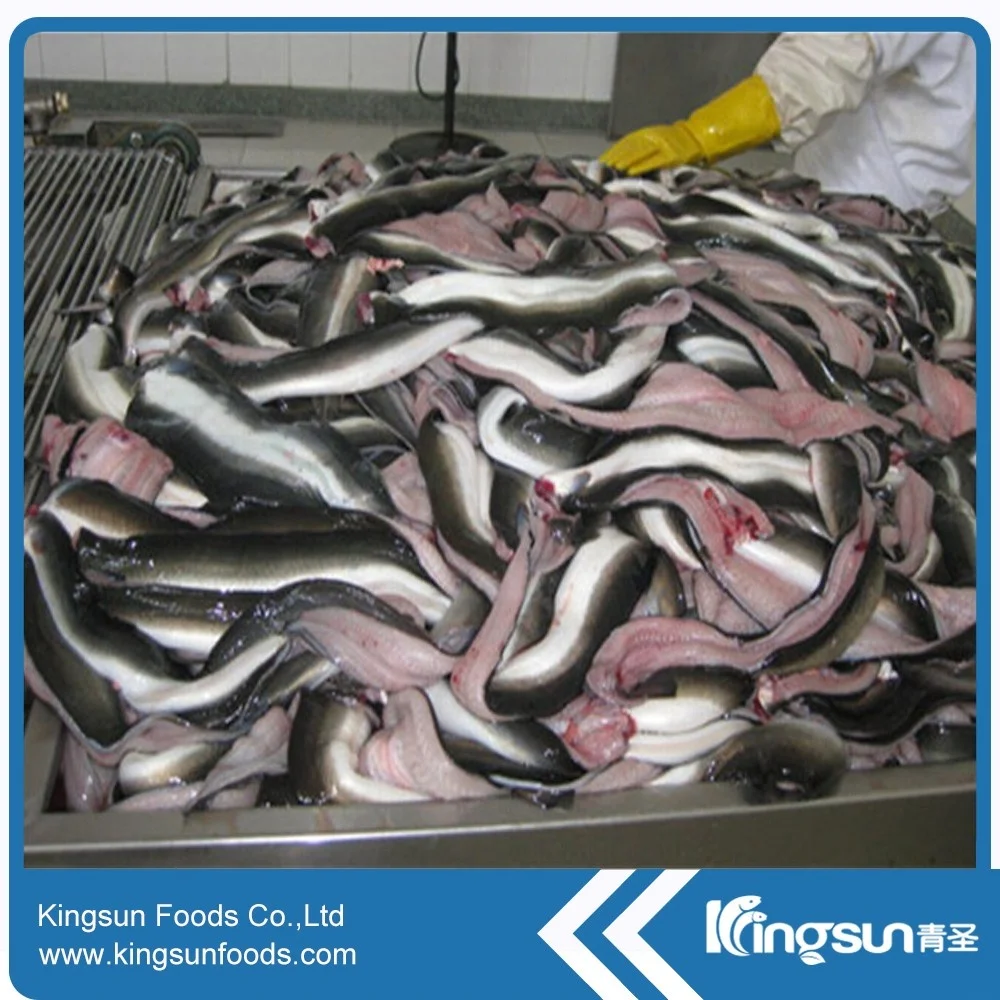 Good Taste High Quality Roasted Eel Fish Seafood Frozen EEL