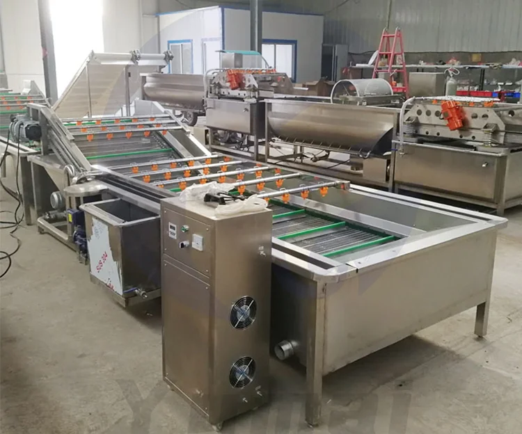 Full Automatic Vegetable Fruit Sorting Cutting Washing Drying Processing Machine Dragon Washing ...