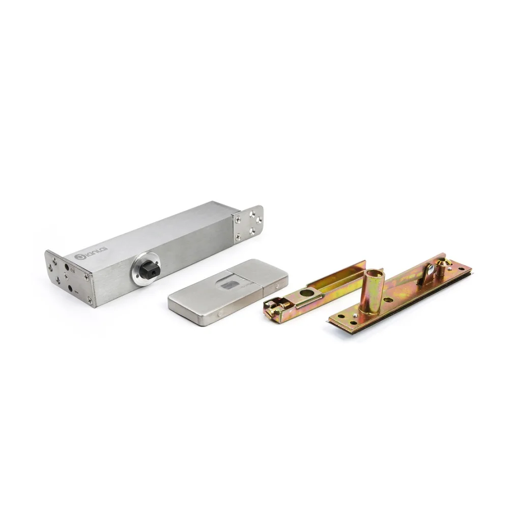 Adjustable Hydraulic Pivot Bottom Patch Fitting No Digging Floor Hinge ...