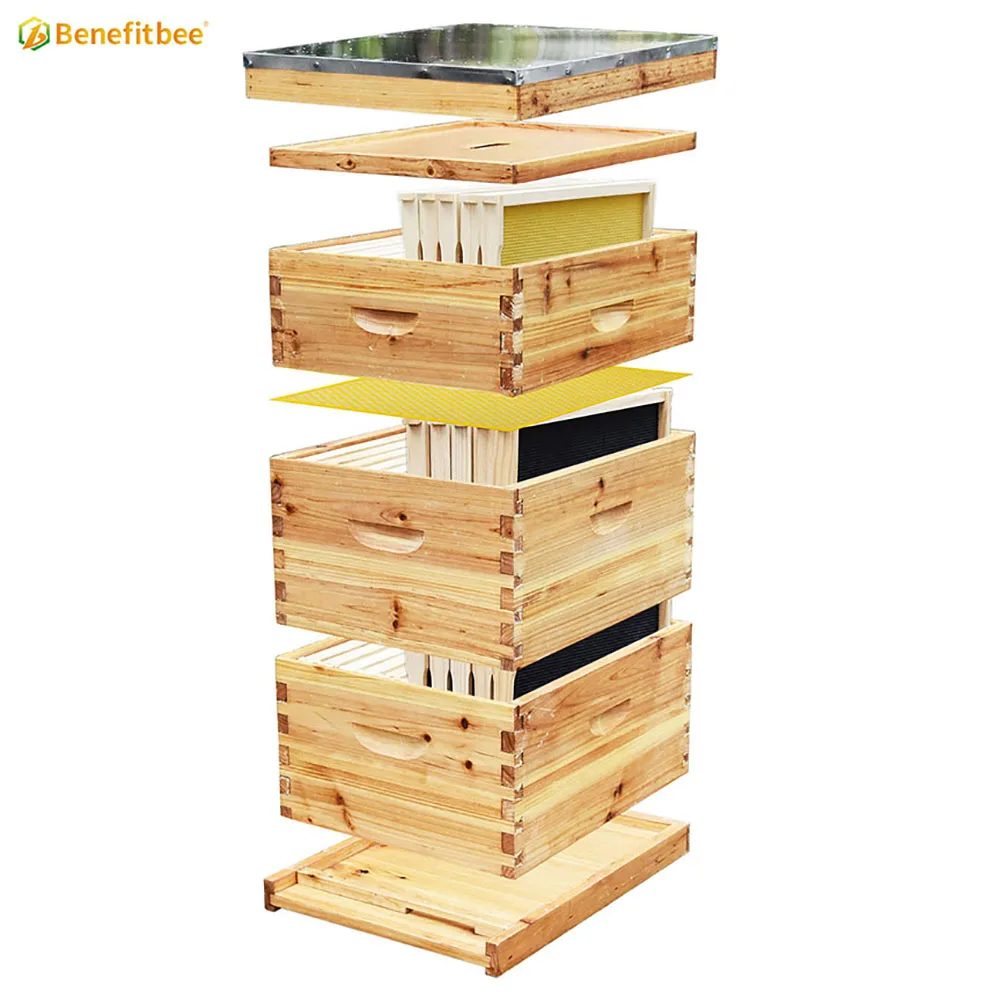 Hot Sale Hive Box Langstroth Beehive 10 Frames Polypropylene