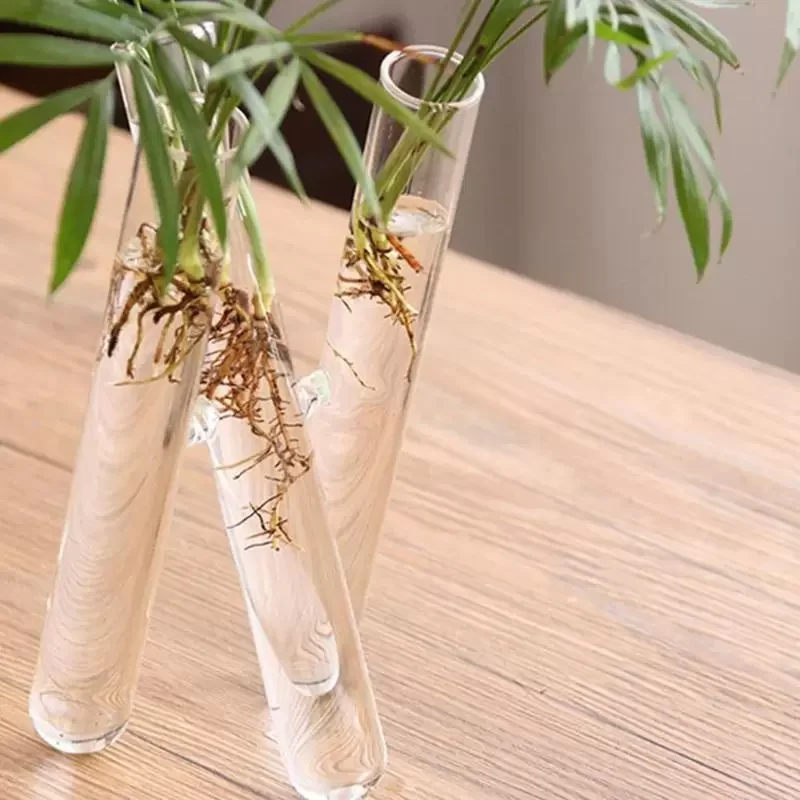 3 Pcs Clear Glass Conjoined Test Tube Hydroponic Flower Vase Plant ...
