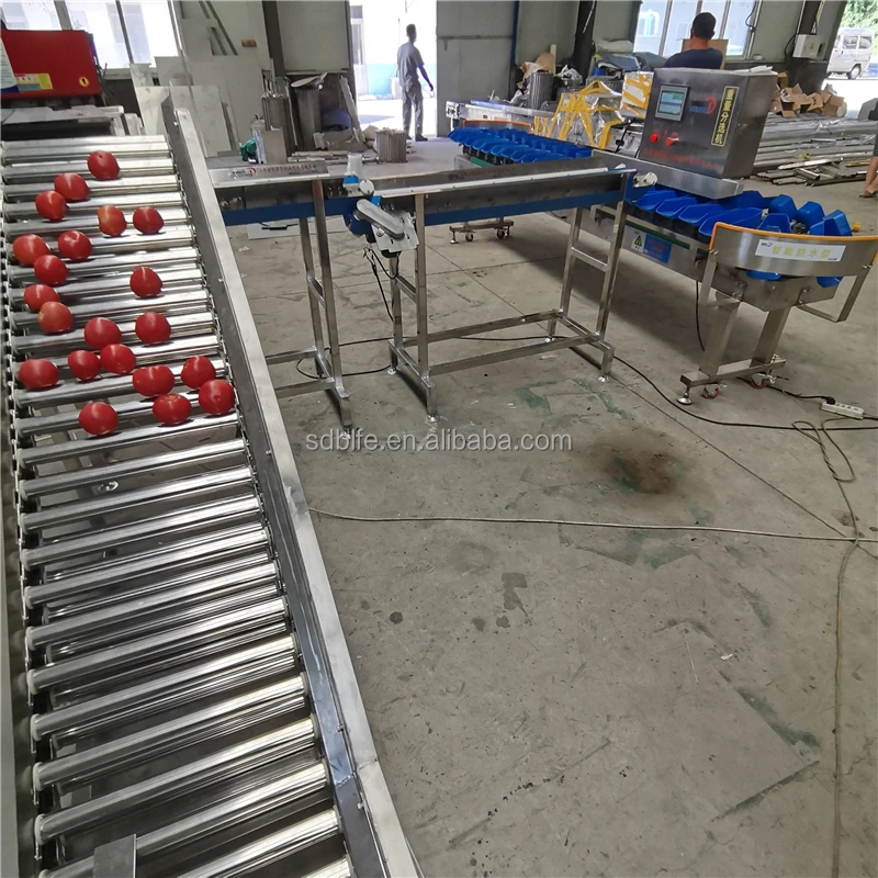 Size Classification Vegetable Selection Machine Sorter Mango Grading ...