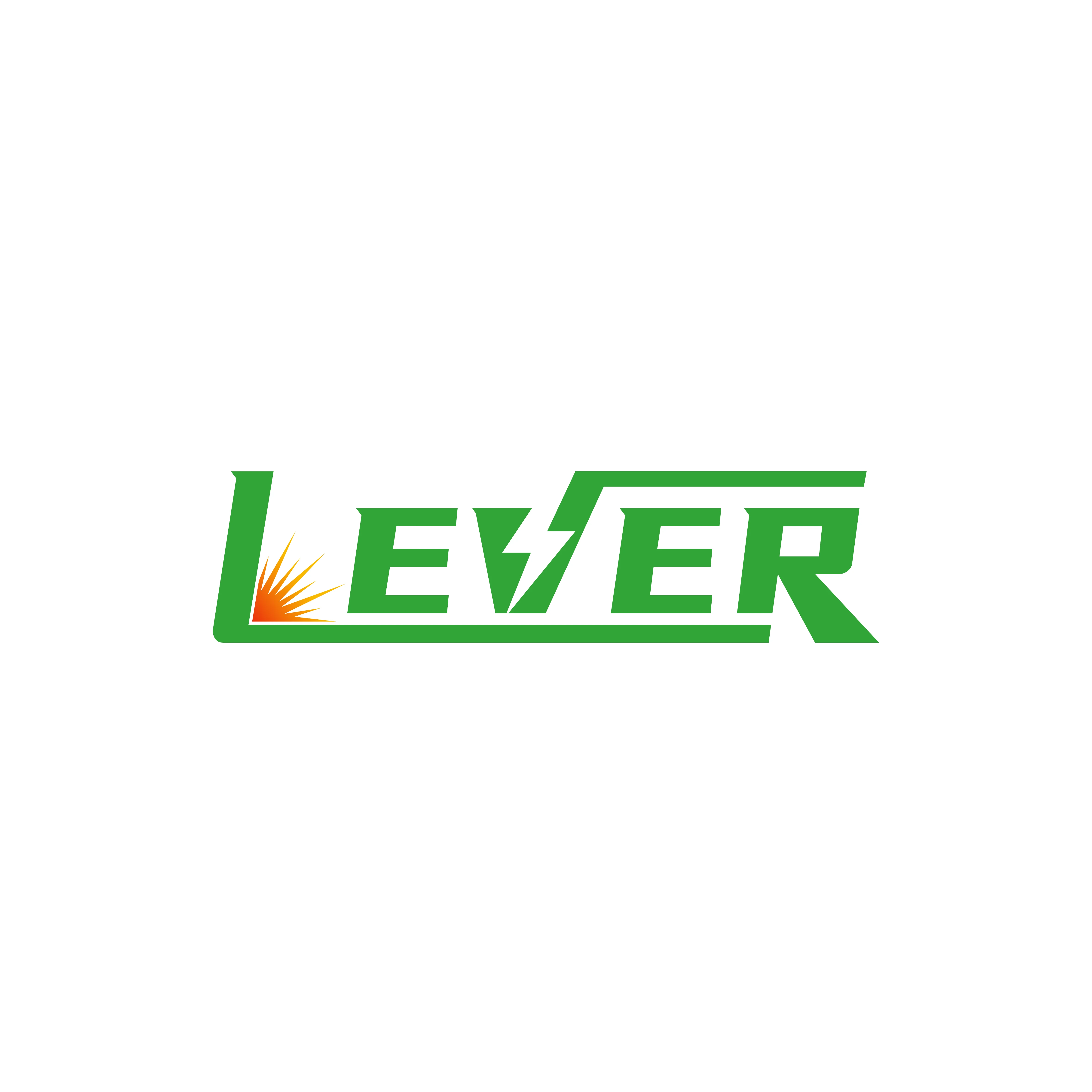 Company Overview - Zhejiang Lever Technology Co., Ltd.