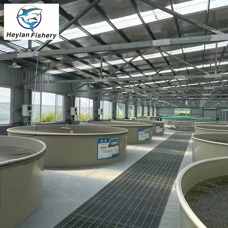 Aquaculture equipment fish farming system indoor ras fish farm mini ...