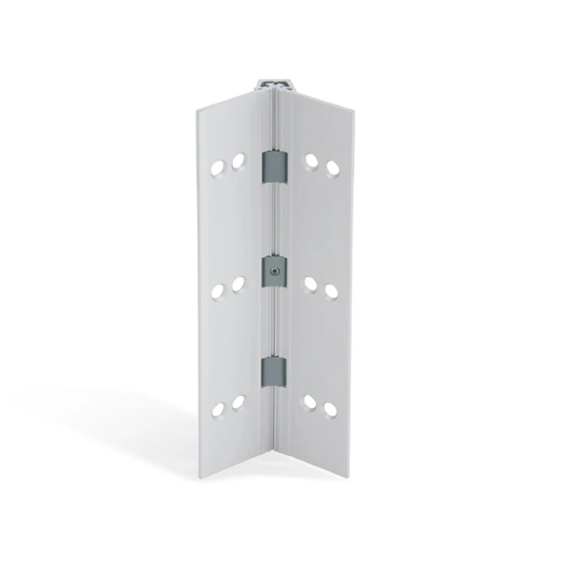 Continuous Geared Hinges - Heavy Duty Fire Rated Solutions