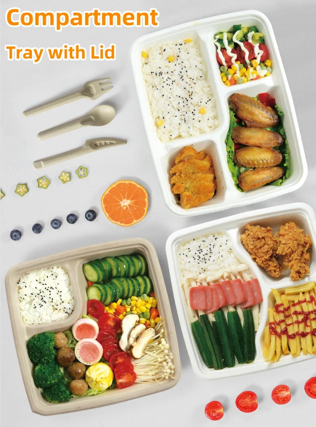 Compostable Pulp Bagasse Trays - Ideal for Hospital Disposables