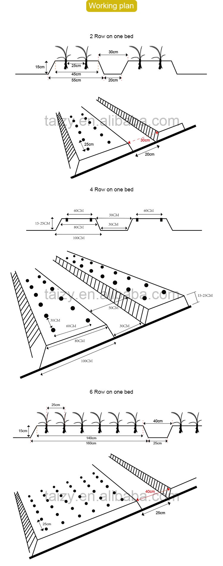 12 Rows Onion Tomato Cabbage Seedling Planter Machines