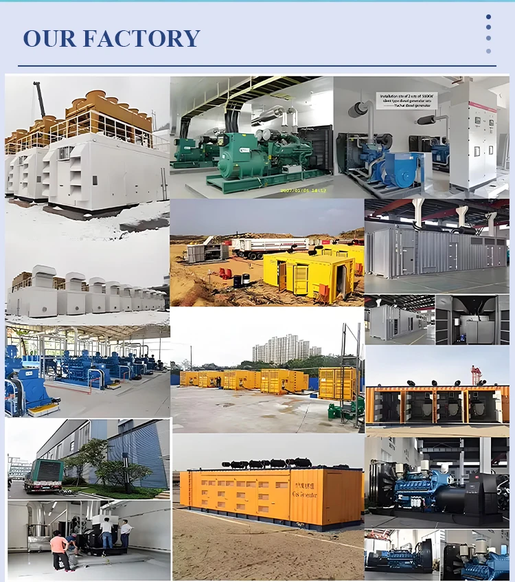 1mw 5mw 30kw 3 Phase Energy Small Biogas Digester With Generator With ...