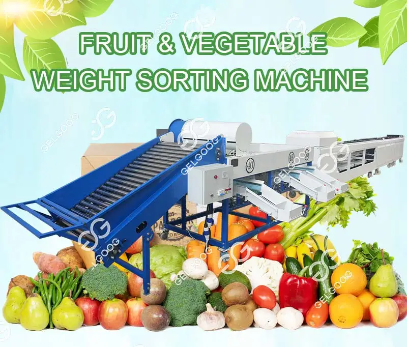 Small Automatic Apple Grading and Sorting Machine Price