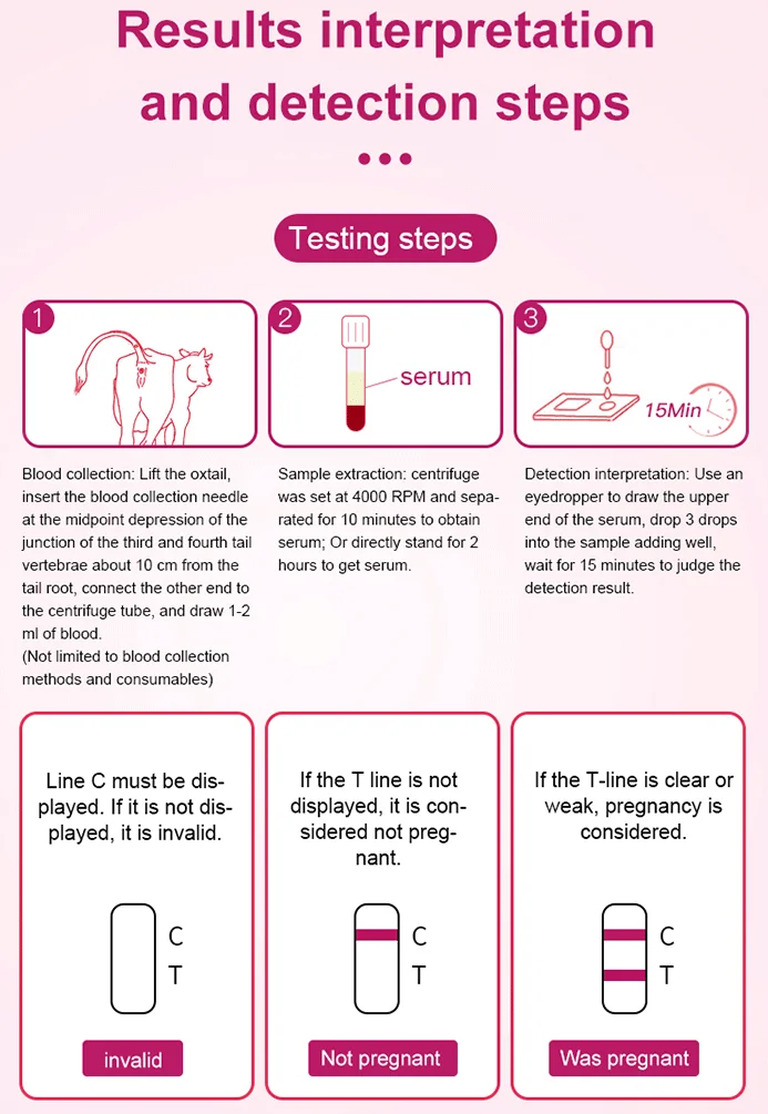 High Accuracy Cow Pregnancy Test Strip Kit Pregnancy Test Cows Animal ...