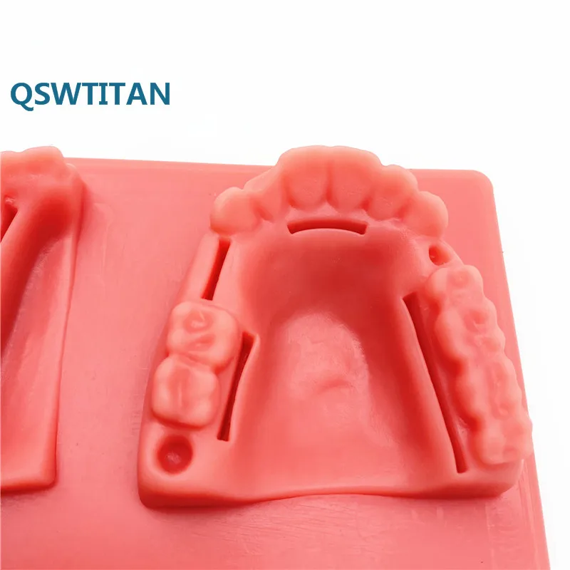 Silicone Human Skin Oral Teeth Gum Suture Training Pad Common Types of ...