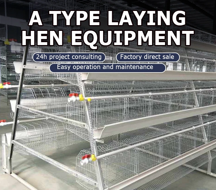 Poultry Farm Chicken Hens Breeding Laying Cage Equipment Egg Layer ...