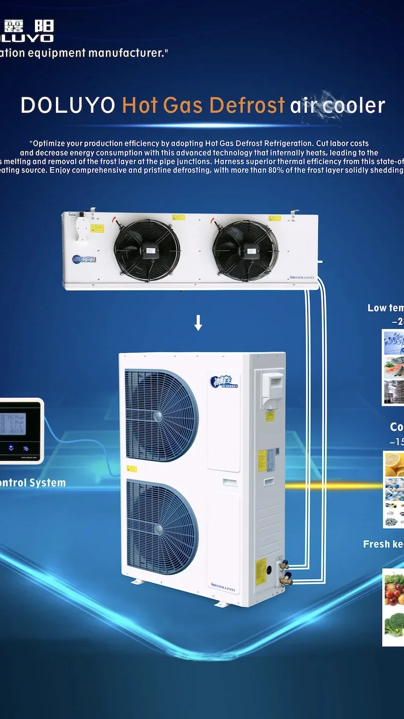 Cold Room For Fish And Meat Storage Walk In Blast Freezer Refrigerated ...