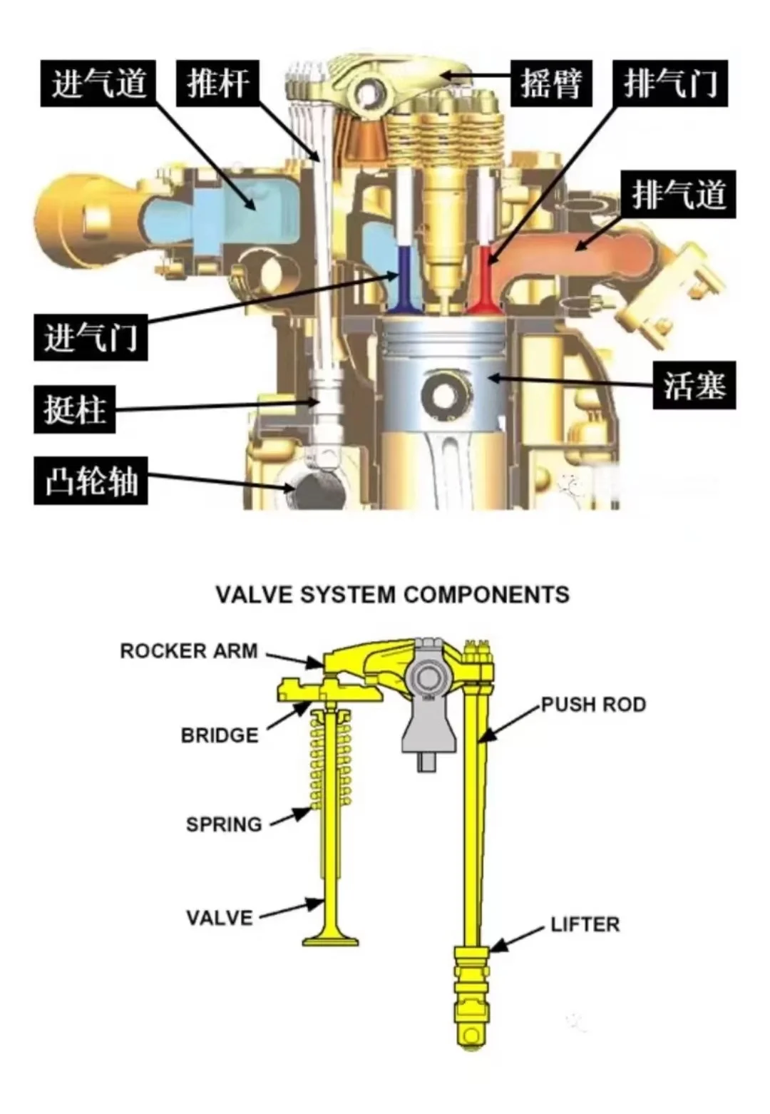 高性能卡车柴油发动机零件共轨喷油器0445110821新条件| Alibaba.com