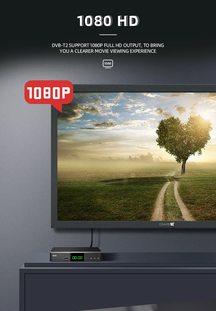 Customized H265 Digital Terrestrial TV Decoder 1080P FTA