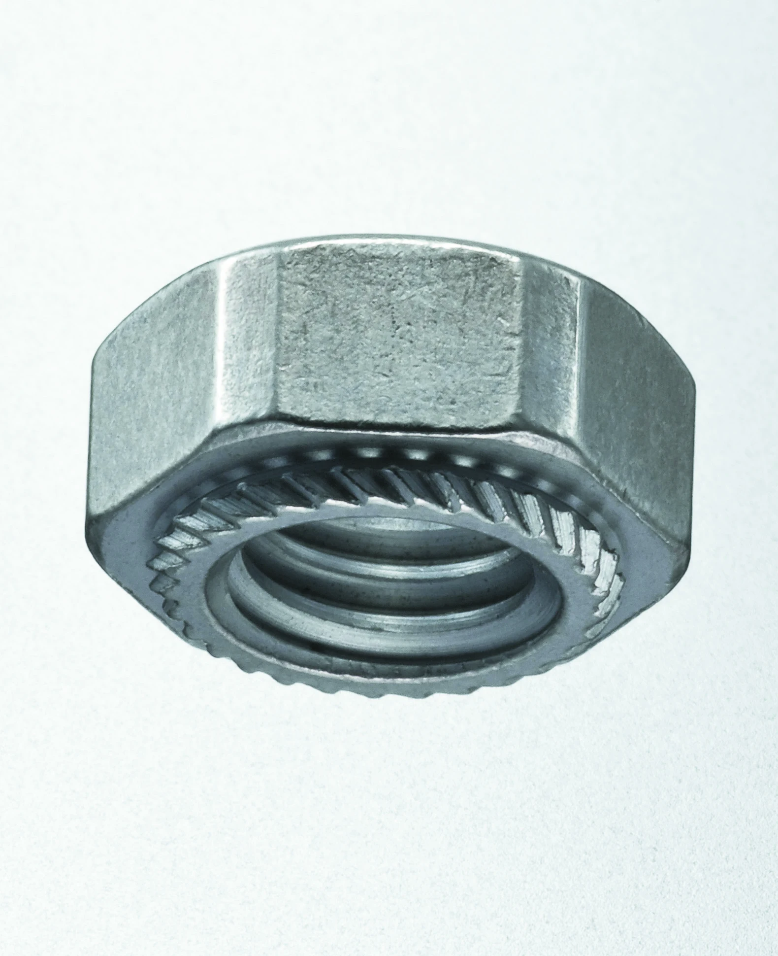 KALEI Flat Nut Stainless Steel - High Quality Pressure Nuts