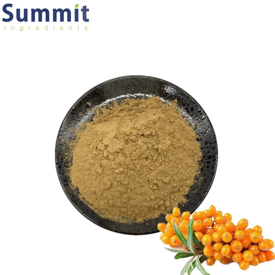 Wholesale Sea Buckthorn Extract Powder - Health Food Supplement