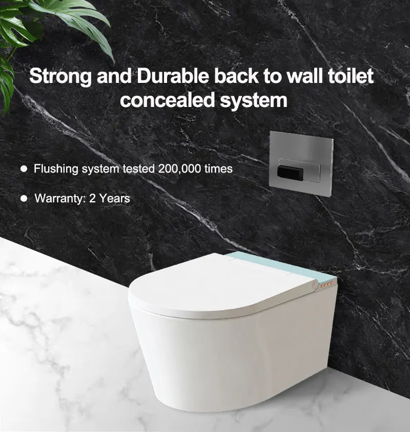 Wall Hung Toilet with Concealed Cistern - Economical & Stylish