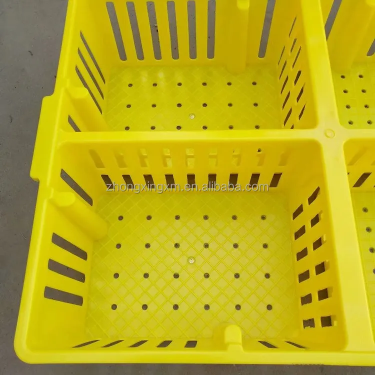 Durable Pure PP Plastic Day Old Chick Box - Farms & Chicken