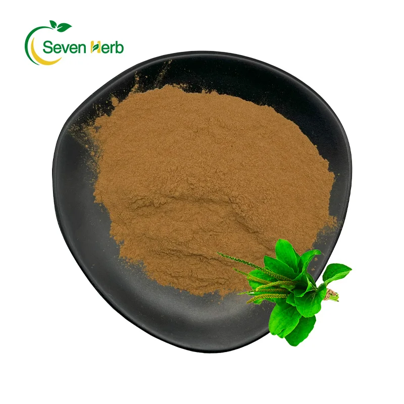 Plantago Asiatica Plantain Leaf Extract Plantaginis Plantain Herb ...