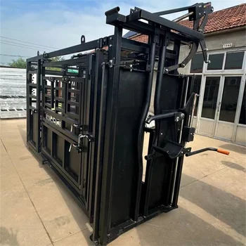 Cattle Crush With Weighing Scale Livestock Head Bail Parallel Hot ...